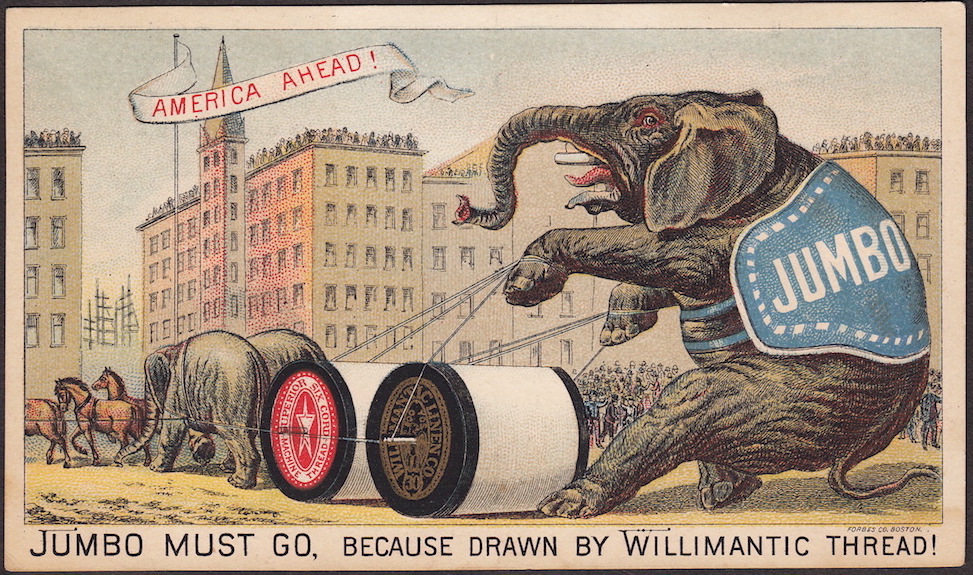 P.T. Barnum Circus Elephant Jumbo | Victorian Card Hub